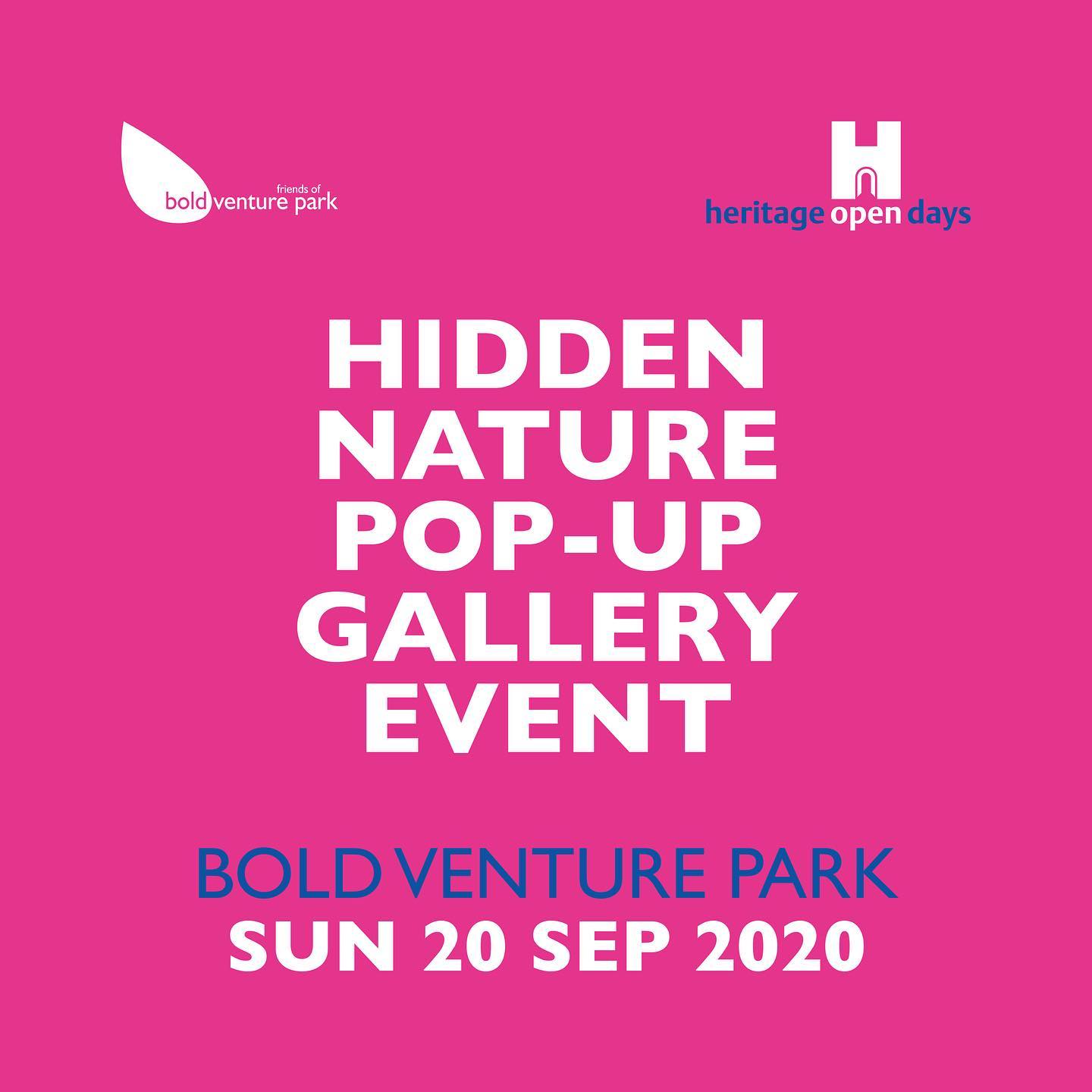 Hidden Nature Event At Bold Venture Park Darwen Town Centre hidden-nature-event-at-bold-venture-park-darwen-town-centre